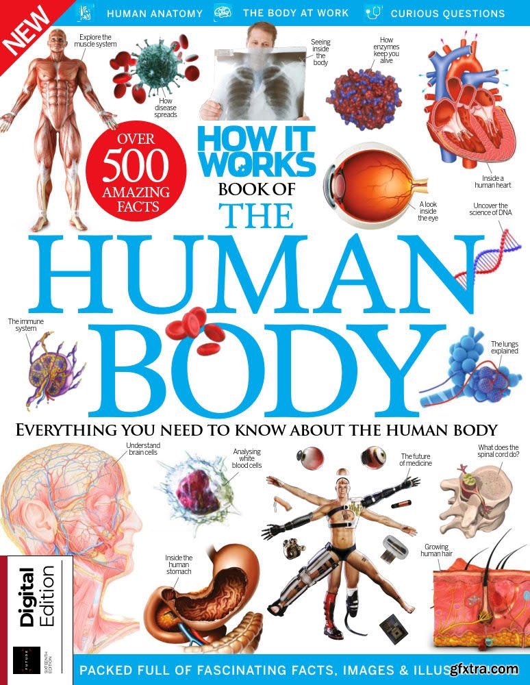 How It Works Book Of The Human Body 16th Edition 2021 GFxtra How It Works Book Of The Human Body 16th Edition 2021 GFxtra